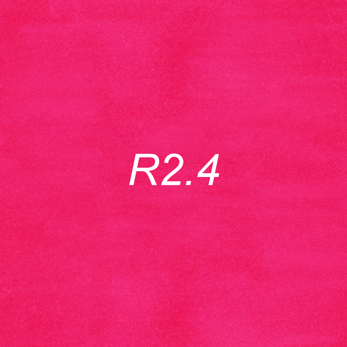 Brush - R2.4 Raspberry – OLO Marker Europe